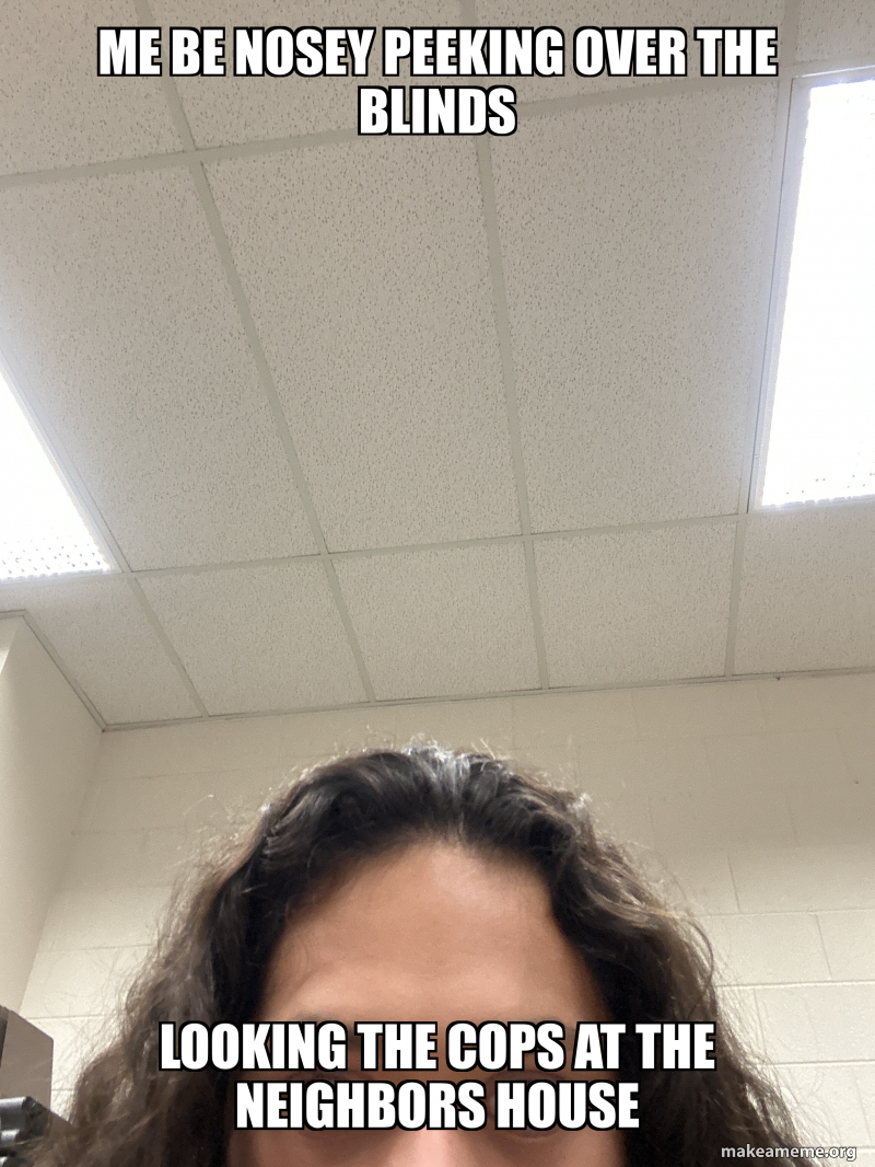 Nosey Neighbours Memes