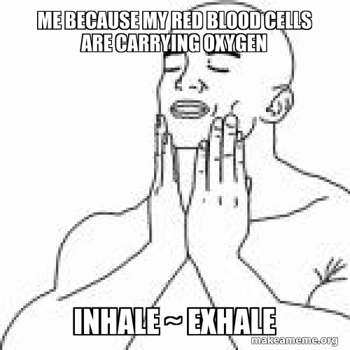 me because my red blood cells are carrying oxygen inhale ~ Exhale Meme ...