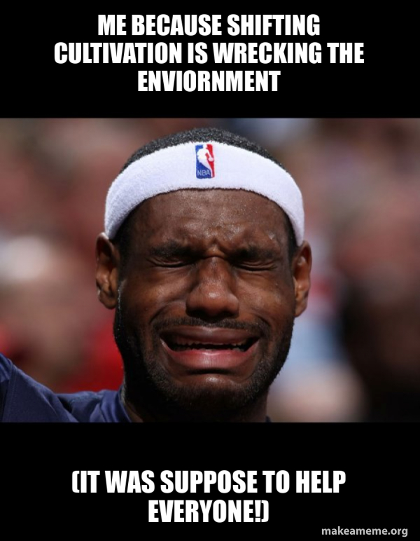 me because shifting cultivation is wrecking the enviornment (It was ...