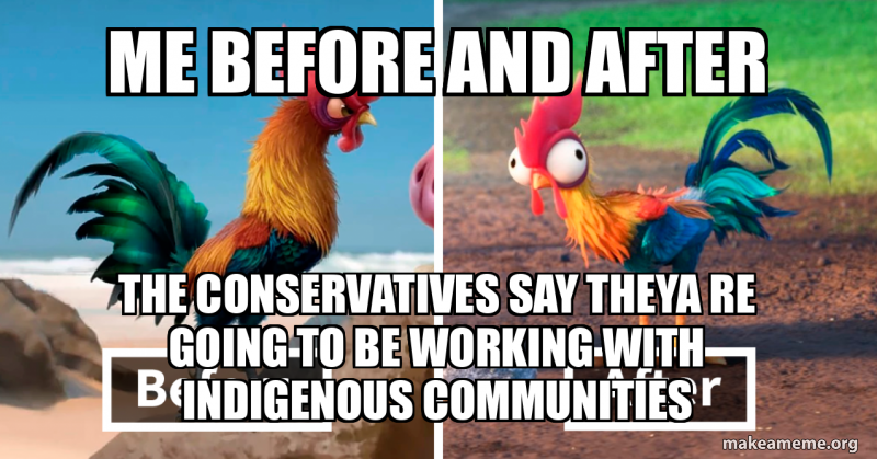 Me before and after The conservatives say theya re going to be working ...