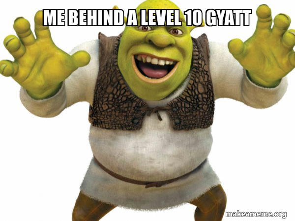 Me behind a Level 10 GYATT - Shrek Meme Generator