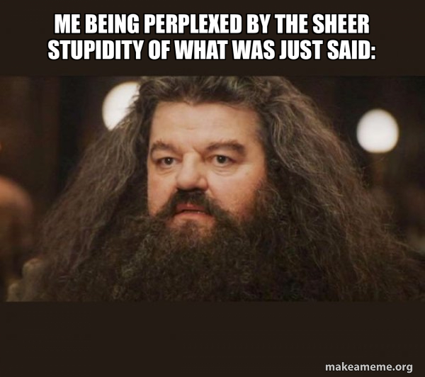 Me being perplexed by the sheer stupidity of what was just said ...
