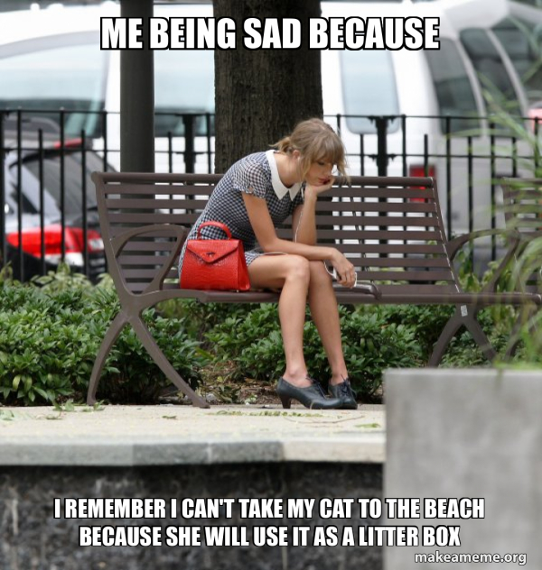 me being sad because i remember i can't take my cat to the beach ...