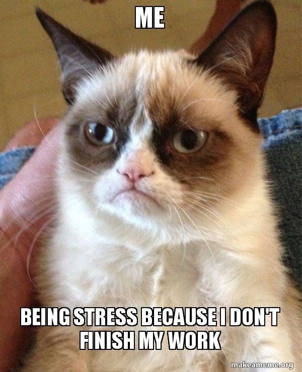 Me Being stress because I don't finish my work - Grumpy Cat | Make a Meme