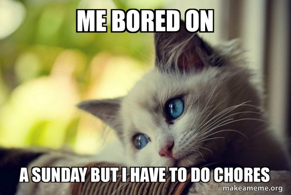 me bored on a sunday but I have to do chores - First World Cat Problems ...