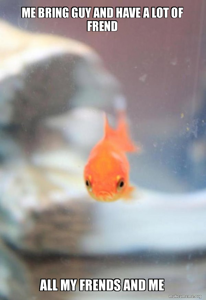 Me bring guy and have a lot of frend All my frends and me - Grumpy Fish ...