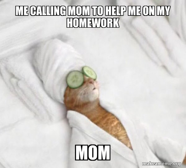 ME CALLING MOM TO HELP ME ON MY HOMEWORK MOM - Pampered Cat Meme Meme ...