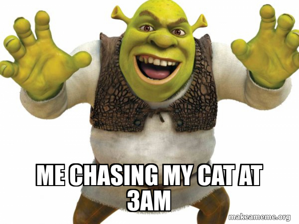 me chasing my cat at 3am - Shrek Meme Generator