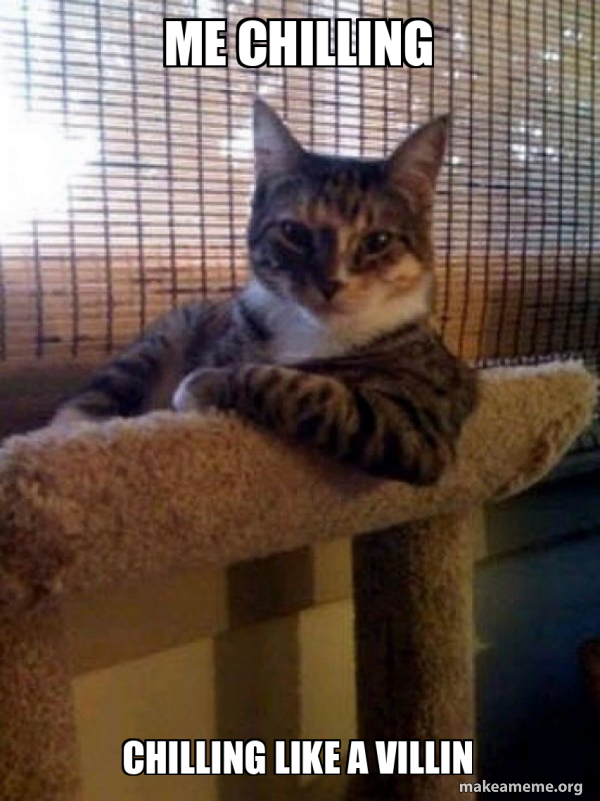 me chilling chilling like a villin - The Most Interesting Cat in the ...