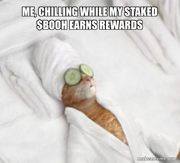 Me, chilling while my staked $BOOH earns rewards - Pampered Cat Meme ...