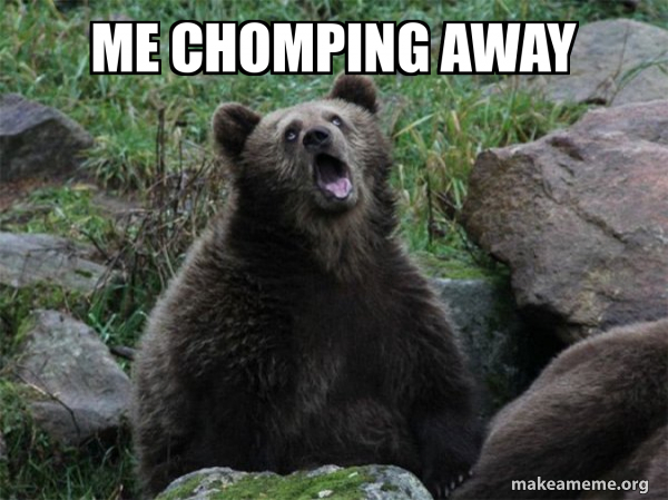 Me chomping away - Sarcastic Bear Meme Generator