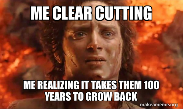 Me clear cutting Me realizing it takes them 100 years to grow back ...