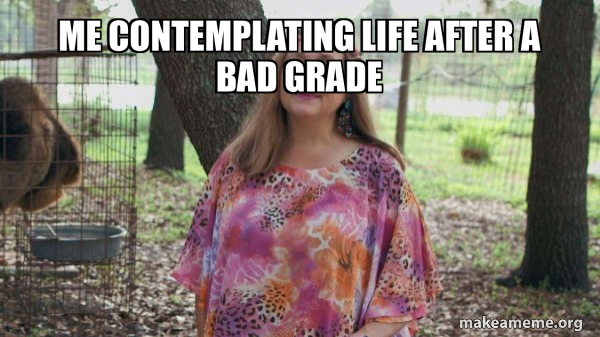 me contemplating life after a bad grade - Carole Baskins (Carol ?) Meme ...
