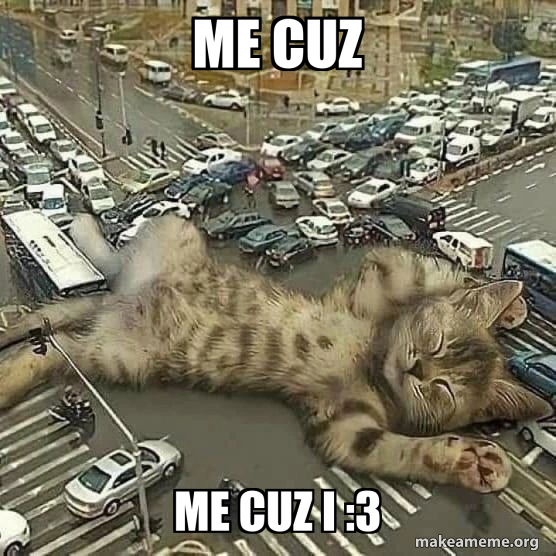 me cuz me cuz i :3 Meme Generator