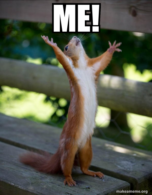 Me! - Happy Squirrel Meme Generator