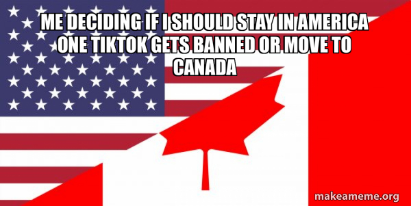 me deciding if I should stay in America one TikTok gets banned or move ...