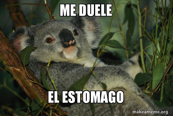 Dolor Abdominal Memes Kinderen Diploma Met Boeken, Leerboeken Grappig