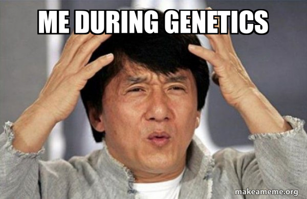 Me during Genetics - Jackie Chan Why? Meme Generator