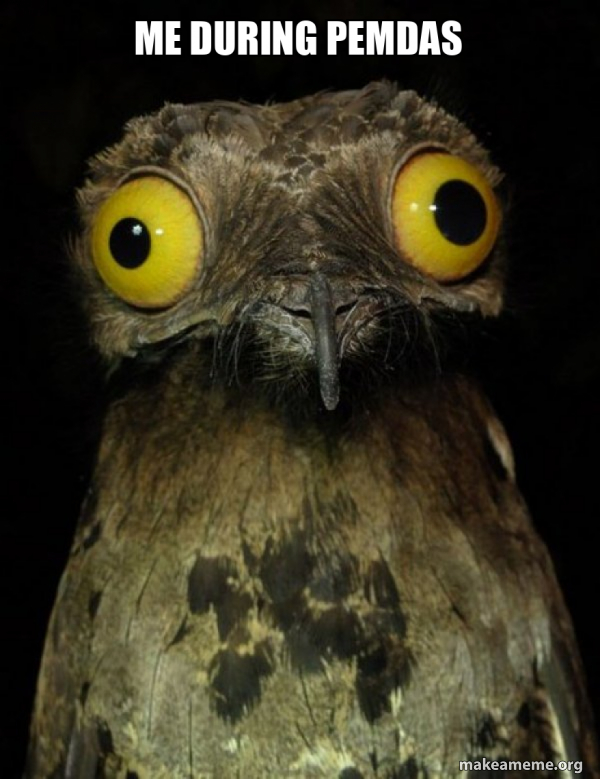 me during pemdas - Weird Stuff I do Potoo Meme Generator