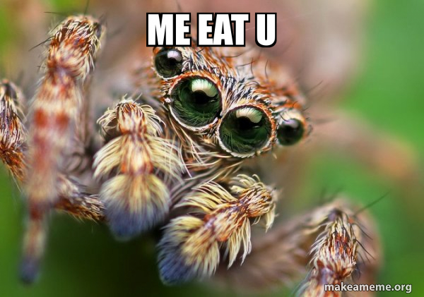 ME EAT U - Hipster Spider Meme Generator