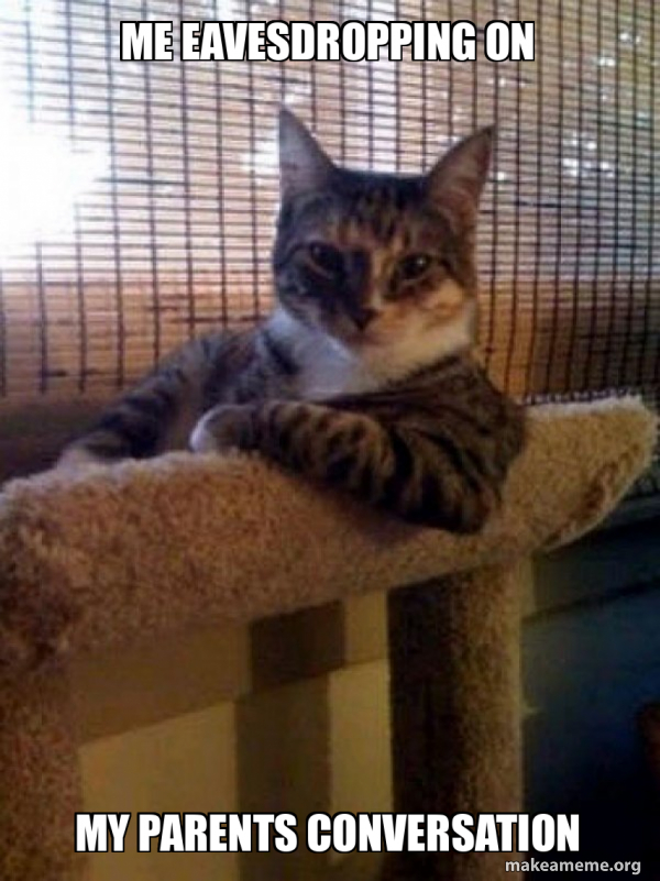 Me eavesdropping on my parents conversation - The Most Interesting Cat ...