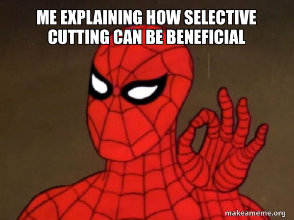 me explaining how selective cutting can be beneficial - Spiderman ...