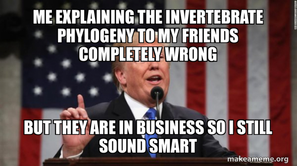 Me explaining the invertebrate phylogeny to my friends completely wrong ...