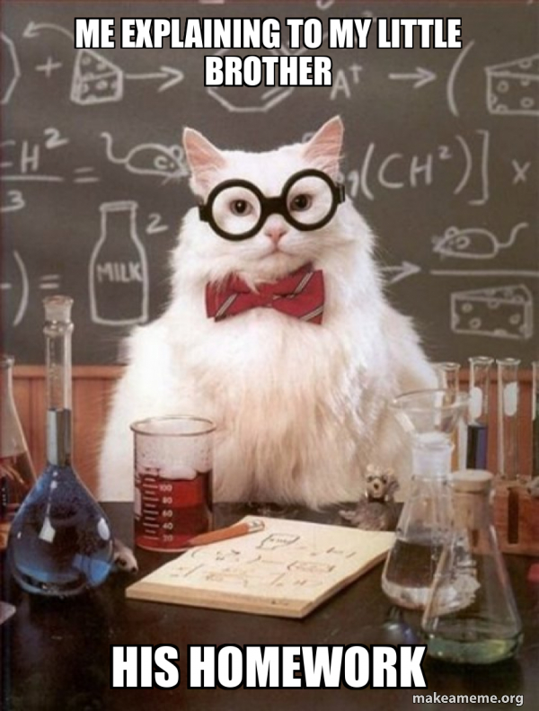 ME EXPLAINING TO MY LITTLE BROTHER HIS HOMEWORK - Chemistry Cat Meme ...
