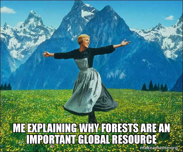 Me Explaining Why Forests are an Important Global Resource - Sound of ...