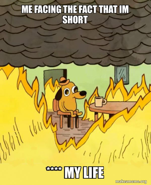 Me facing The Fact That Im Short **** my life - This Is Fine Meme Generator