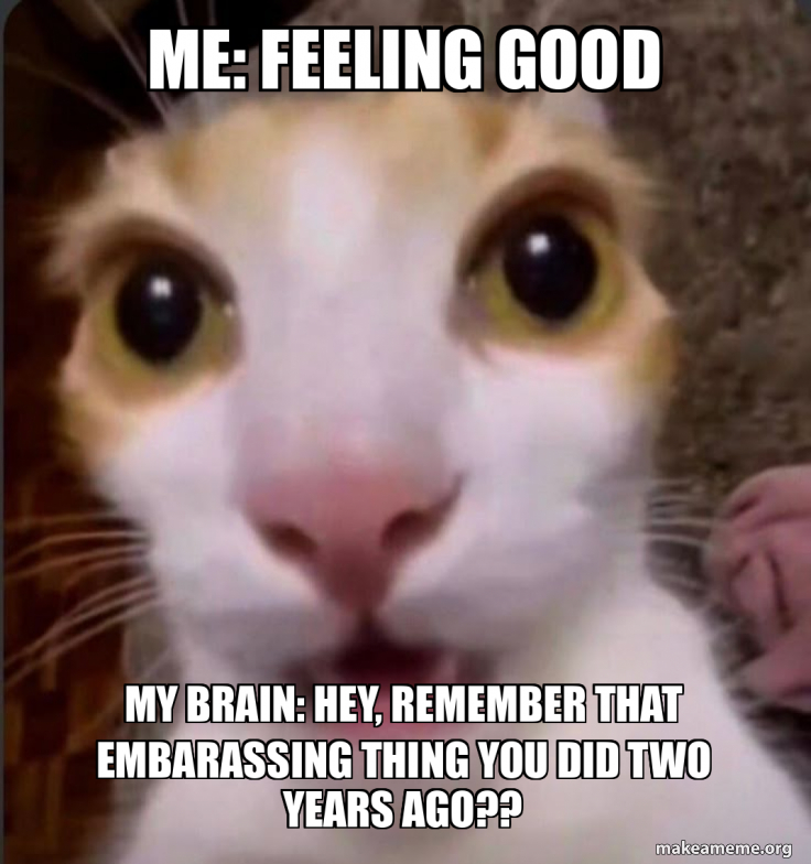 Me: Feeling good My Brain: hey, remember that embarassing thing you did ...