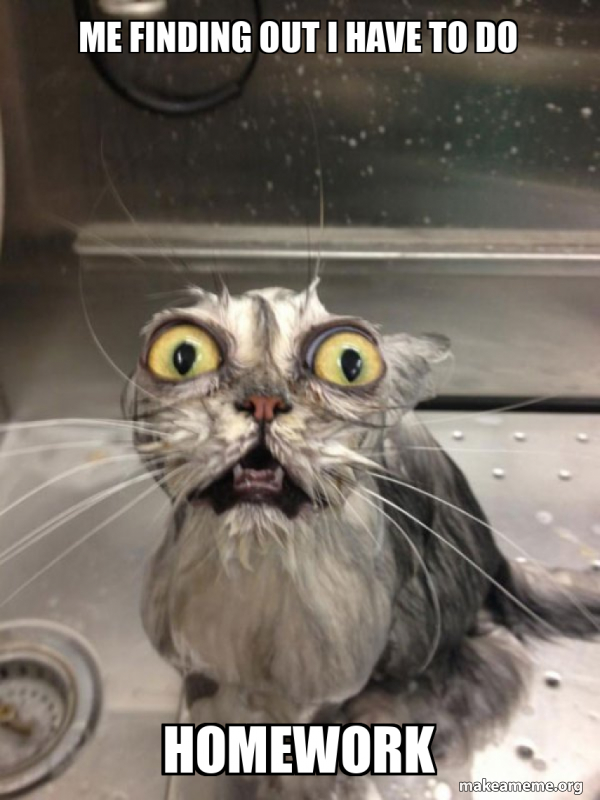 Me finding out I have to do HOMEWORK - Cat bath Meme Generator