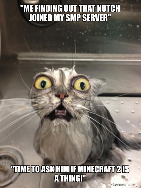 "Me finding out that Notch joined my SMP server" "Time to ask him if Minecraft 2 is a thing ...