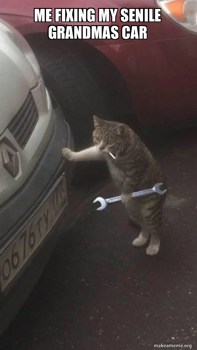 Me Fixing My Senile Grandmas Car - Mechanic Cat Meme Generator