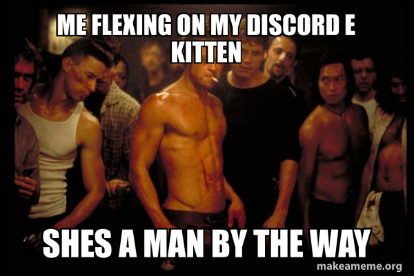 Me flexing on my discord e kitten shes a man by the way - Fight Club Meme Generator