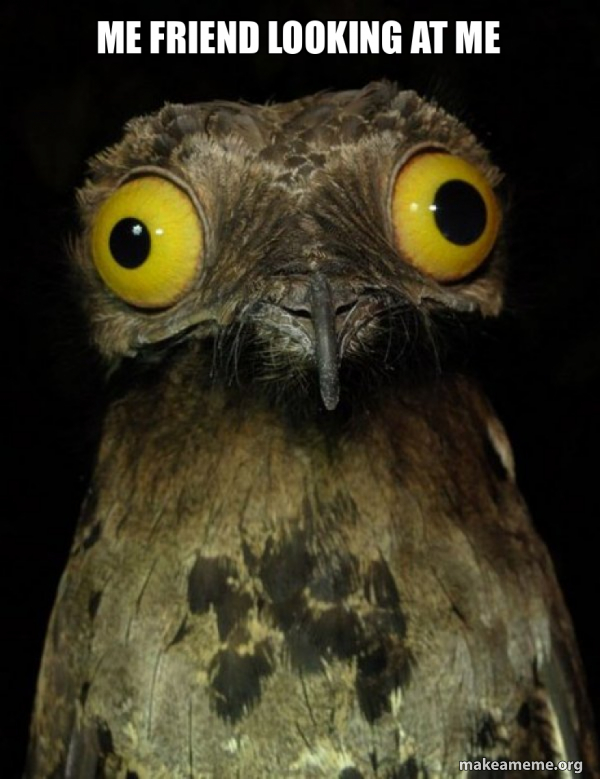 Me friend looking at me - Weird Stuff I do Potoo Meme Generator