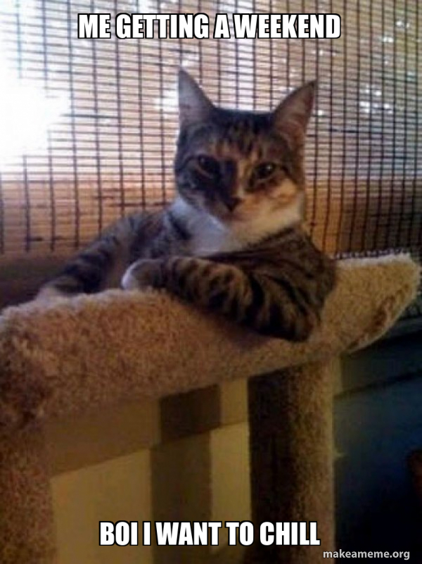Me getting a weekend BOI I WANT TO CHILL - The Most Interesting Cat in ...