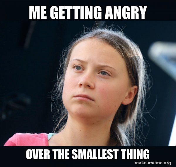 me getting angry over the smallest thing - Greta Thunberg Meme Generator