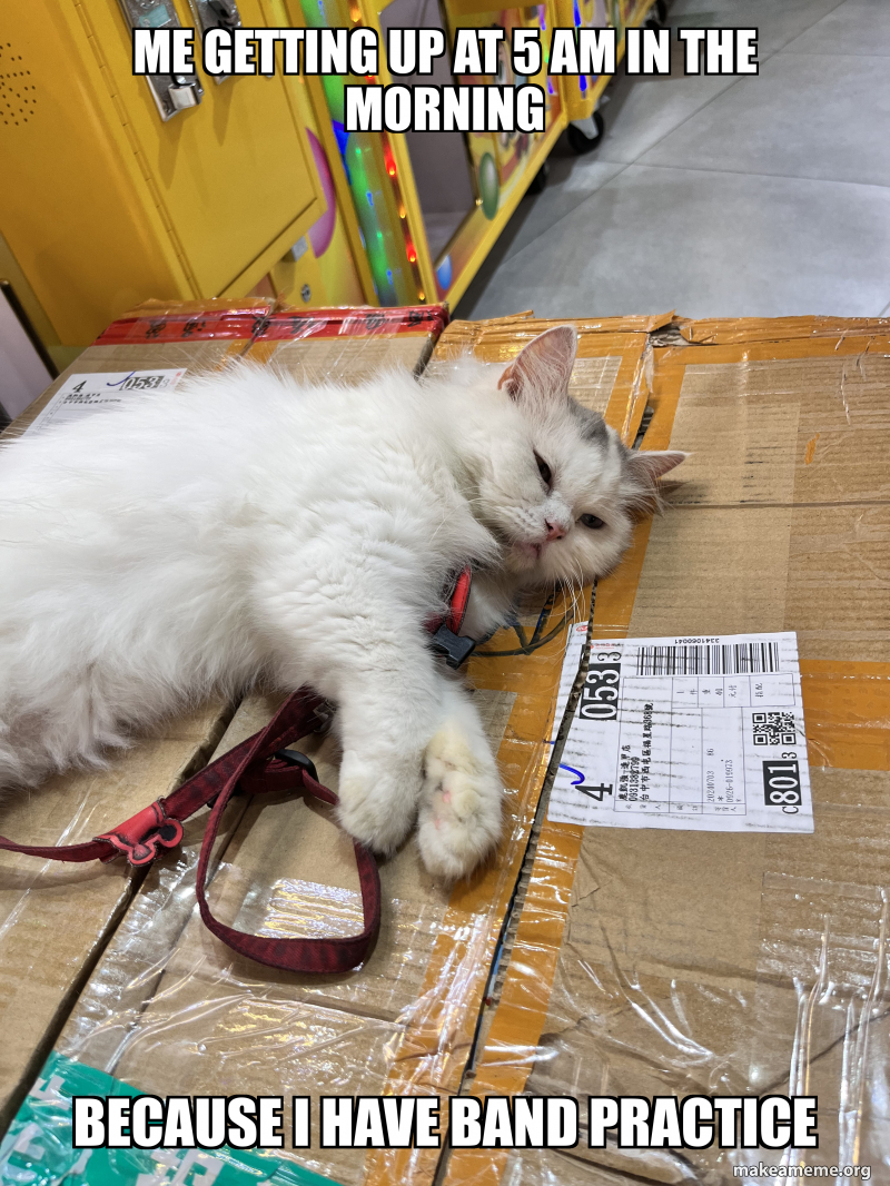 me getting up at 5 am in the morning because i have band practice Meme ...