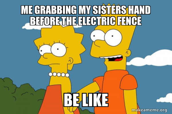 Electric Fence Memes Green 5FT Poly Post 155cm Tall Plastic Fencing