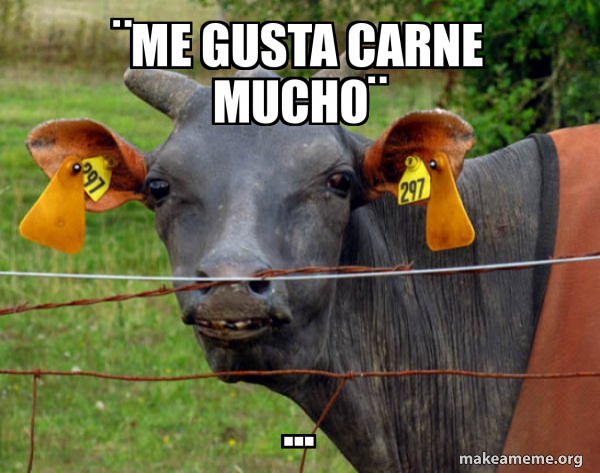 ¨Me gusta carne mucho¨ ... - Hairless Cow Meme Generator
