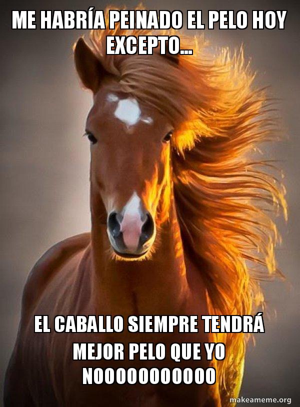Memes En Caballos Image Tagged With Momos Random Uwu, Momos En