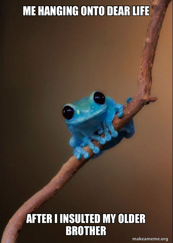 Me hanging onto dear life after I insulted my older brother - Small ...