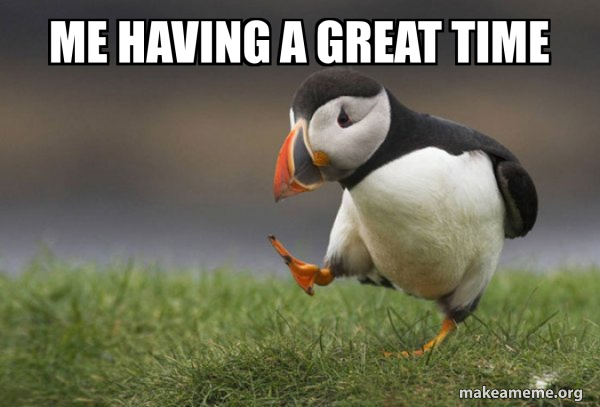 me having a great time - Unpopular Opinion Puffin Meme Generator