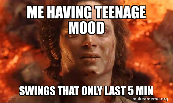 me having teenage mood swings that only last 5 min - Frodo it's over it ...