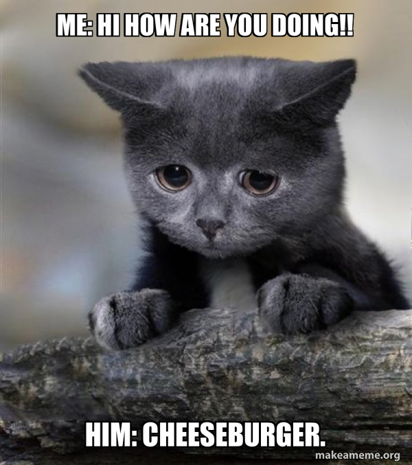 Me: HI HOW ARE YOU DOING!! him: cheeseburger. - Confession Cat Meme Generator