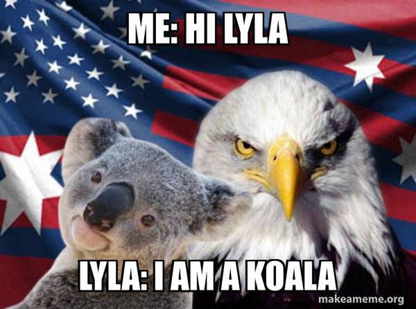 me: hi Lyla lyla: I AM A KOALA - Ameristralia Meme Generator