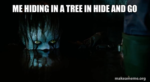 Me hiding in a tree in hide and go - Pennywise It Meme Generator