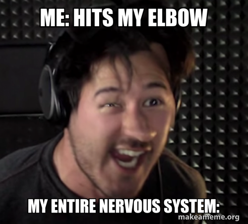 me: hits my elbow My entire nervous system: Meme Generator