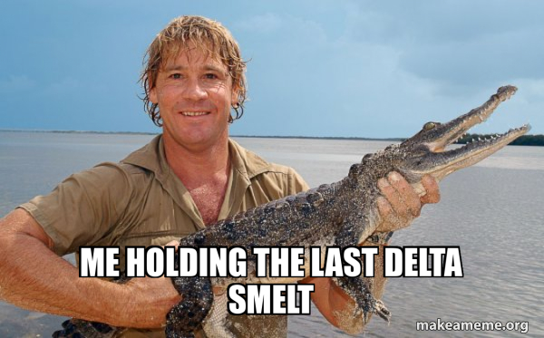 me holding the last delta smelt - Steve irwin Meme Generator